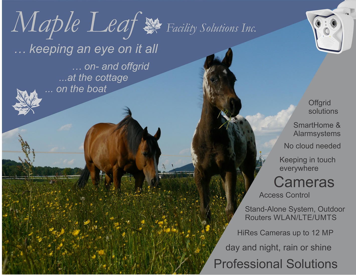 Maple Leaf Facility Solutions Inc. - New page